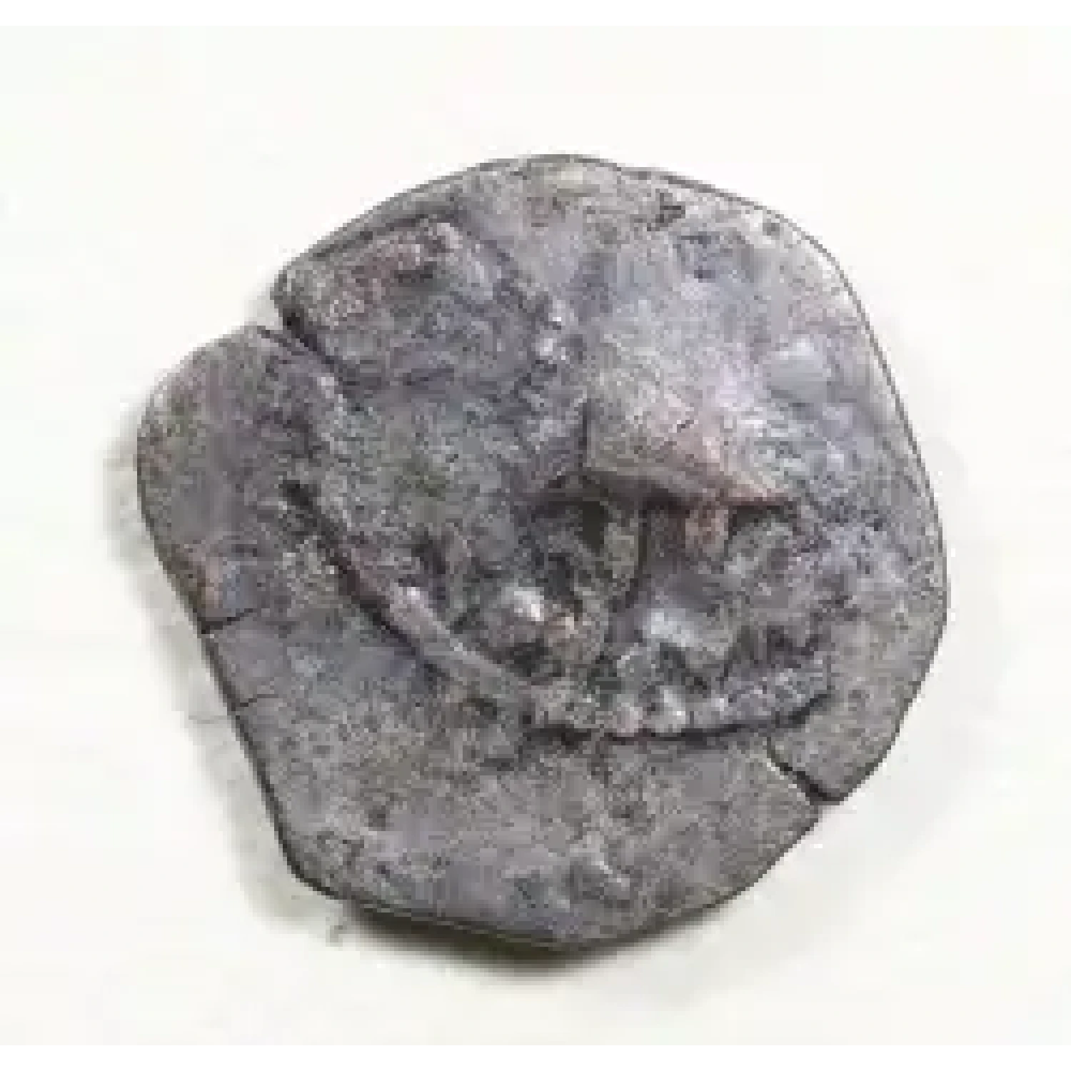 Judaea Herod Archelaus Bronze Prutah 4-6 AD Ancient Greek Coin Grapes ...